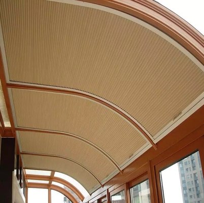 European style honeycomb blind motorized skylight pleated blinds for Green house