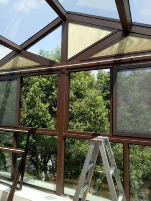 European style honeycomb blind motorized skylight pleated blinds for Green house