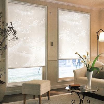 Elegant Design blackout fabric roller blind spring mechanism for window