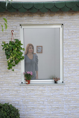 Rolling up non-beam adjustable Retractable fly mosquito screen window / door