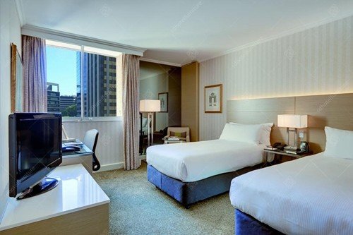 Luxury 5 Star Hotel Furniture Environmental Friendly Lacquer SGS