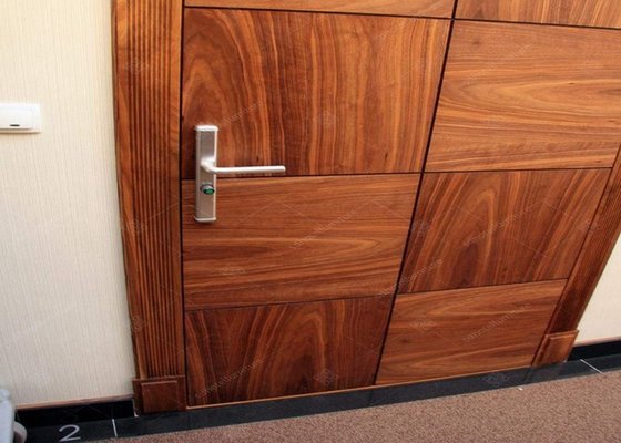 Modern Concise Style Hotel Fixed Furniture Hotel Room Doors Excellent Wood Veneer or Painting
