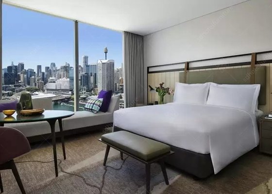 Concise Design Standard Hotel Furniture Environmental Friendly Lacquer