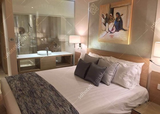Comfortable New Trendy Apartment Furniture Sets Wooden Frame Eco -  Friendly