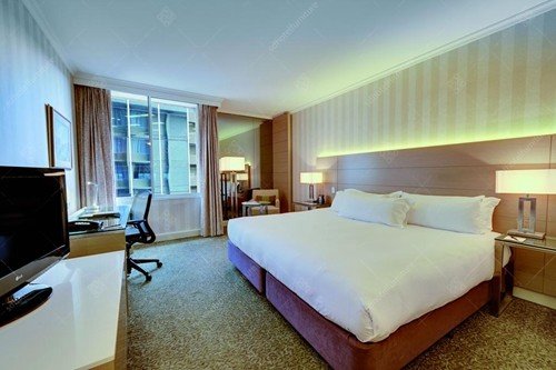 Luxury 5 Star Hotel Furniture Environmental Friendly Lacquer SGS