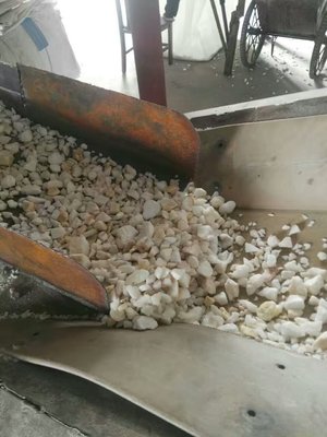 stone Color Sorter for quartz or silicon color sorter machine Beltscan1200CG  with high pixel ccd camera best quality