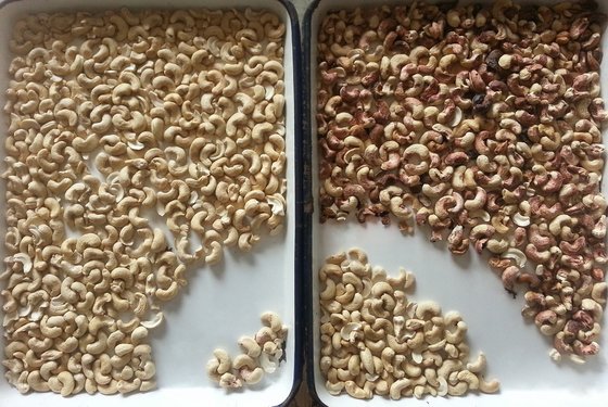 Belt-type optical Sorters withmilitary standard and CCD camera for nuts or garlic optical sorting machine