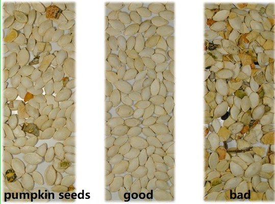 Color Sorter with 5000+ Pixel CCD nikon lens camera and High SMC Frequency Ejectors for beans and seeds