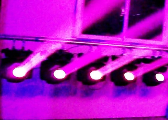 White House Moving Head Beam 230 7R High Precision Auto Stage Lighting supplier