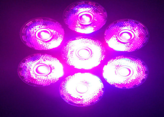Night Club Beam LED Moving Head Light for Concert / Theatre / Holiday supplier