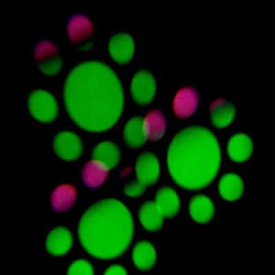 Rgb LED Moving Head Light 7 Colors Rainbow Disco Gobo Rotating supplier
