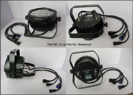 IP65 4 /5/6 in one Outdoor Waterproof Led Flat Par Lamps 12 Leds Outdoor Use TSA136 supplier