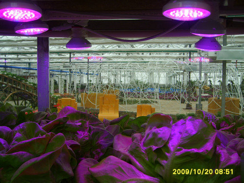 full spectrum led grow lights