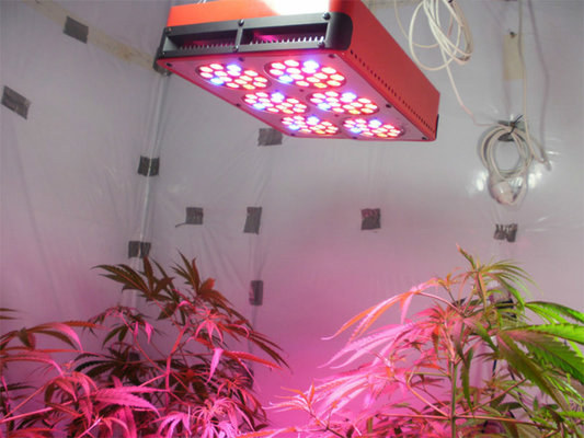 full spectrum led grow lights