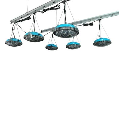 Cidly UFO 90W led grow lights