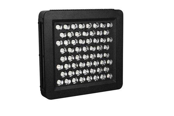 Top LED grow lights