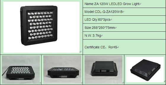 Top LED grow lights