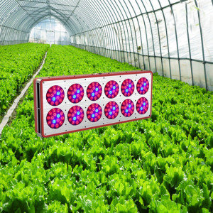 High Power LED Grow Light,High Power LED Grow Lamps