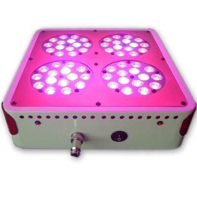 300W GROW Panel lights indoor growing plants lights,led plant light panel on hot sales