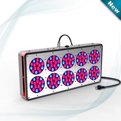 Super Deal Newest generation 320W Apollo10 LED plant grow lamp light for greenhouse. Bloom