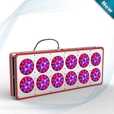 300W GROW Panel lights indoor growing plants lights,led plant light panel on hot sales
