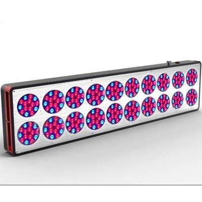 300W GROW Panel lights indoor growing plants lights,led plant light panel on hot sales