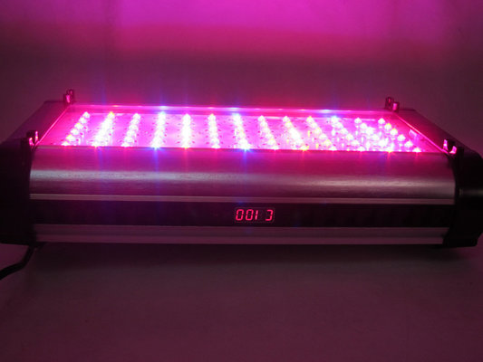 led cidly 150 watts led aquarium light, programmable led aquarium lighting