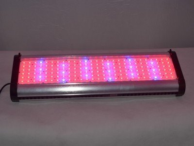 Cidly Phantom 250w led grow light full spectrum customized freely
