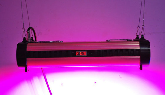 250w hot cidly Led Grow Light Full Spectrum Lamp For Hydroponics System