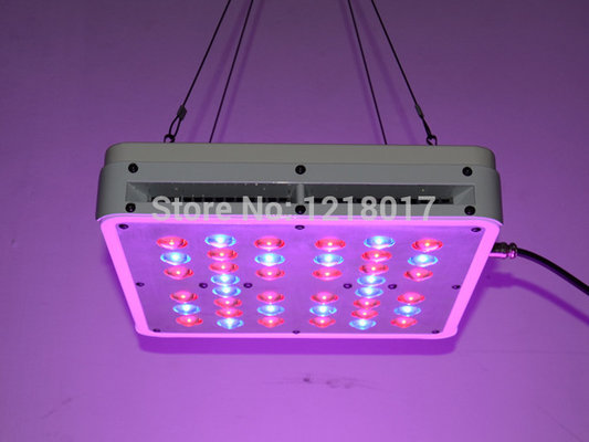Chinese best quality and cheap price 200w Apollo 4 Led Grow Light For Hydroponics
