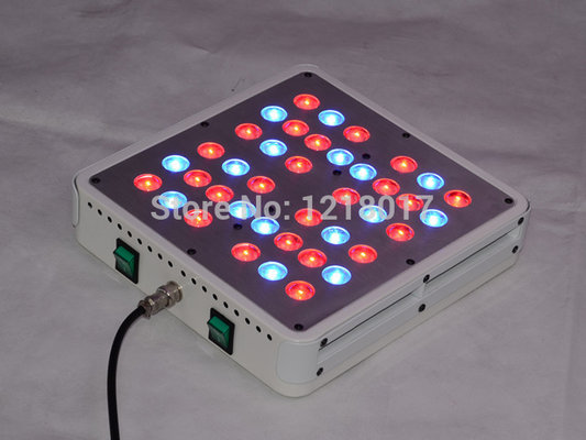 Chinese best quality and cheap price 200w Apollo 4 Led Grow Light For Hydroponics