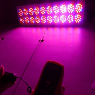 CIDLY 20 aeroponic system led lights 900w grow lights for indoor plants