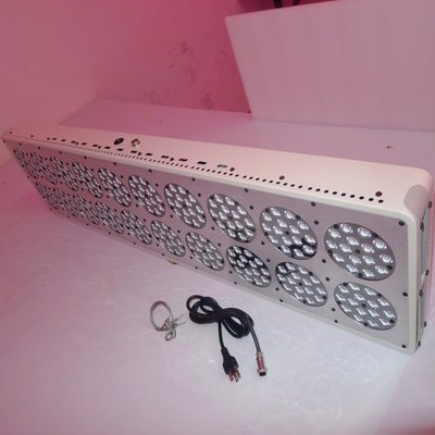 CIDLY 20 aeroponic system led lights 900w grow lights for indoor plants