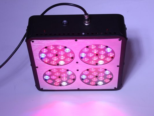 promotion arrivalAPOLLO 4 LED Grow Light AC100~240V 700mA