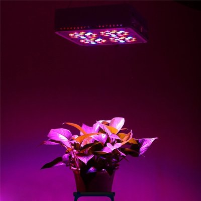 Apollo series 3W*60pcs led chips panel grow light Red 630nm Blue 460nm led growing
