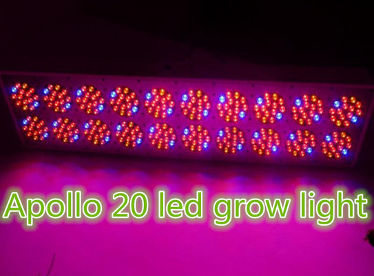Banded Export Surplus Cheap 1000W Full Spectrum Led Grow Lights