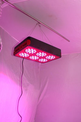CIDLY led grow light,agriculture led light,diy led grow light