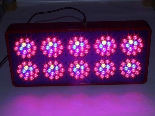 cidly 10 horticulture led grow lighting for hydroponic systems