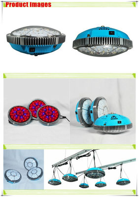 Greenhouse Lamp Kit Hydroponic ,450w UFO Led grow light with 3w cree led chip ,CE RoHS Eco