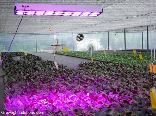 Cidly LED 18 Grow Light Garden Light LED Plant Light 650W