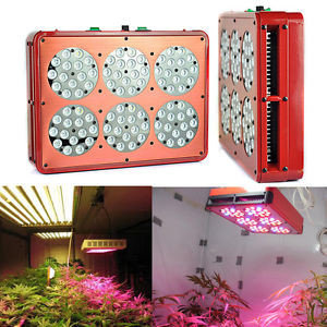cidly full spectrum apollo powerful grow led light for green house