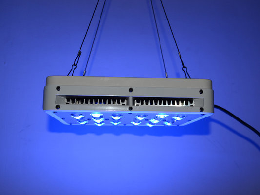 New arrival Apollo 4 40*5w led grow light high efficiency 5watts chip module system heat