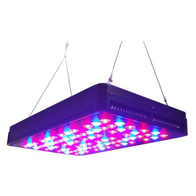 200w led grow lamp,led bulbs,led lights full spectrum 5 watt
