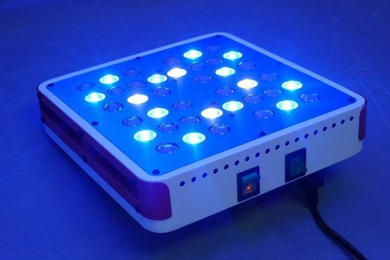 New arrival Apollo 4 40*5w led grow light high efficiency 5watts chip module system heat