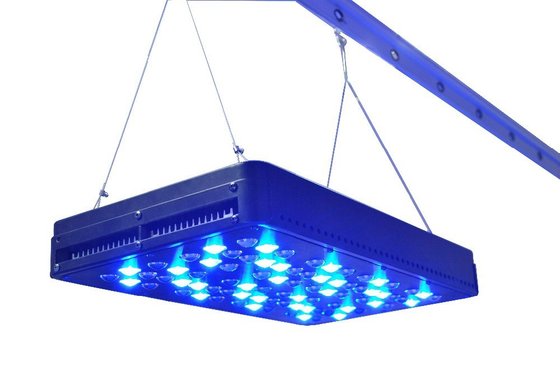 Unique new led grow light 5W led full spectrum apollo 8 80X5W 400W panel grow Light Hydrop