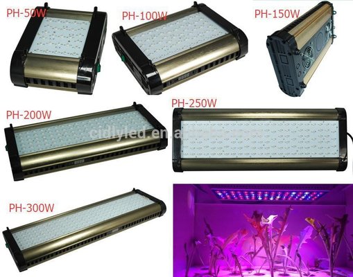 Best Dimmable and Timer Growing LED Light 200W DIY LED Grow Light