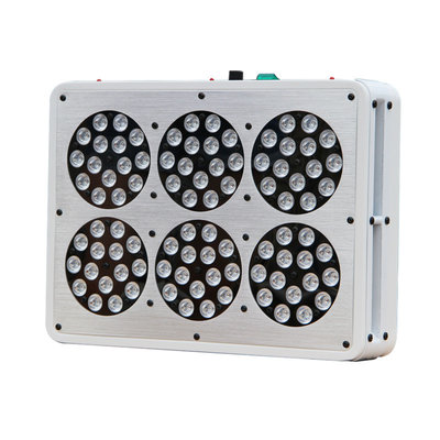 Taiwan EPI LED indoor garden and lighting cidly led 6 270w led lights grow full spectrum