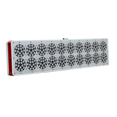 CIDLY 20 aeroponic system led lights 900w grow lights for indoor plants