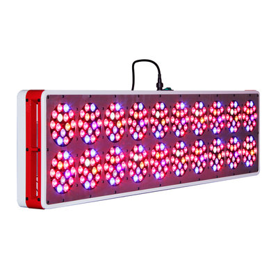 Indoor cultivating Hydroponic System APL 20 cidly light 730watt cheap led grow lights