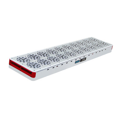 CIDLY 20 aeroponic system led lights 900w grow lights for indoor plants